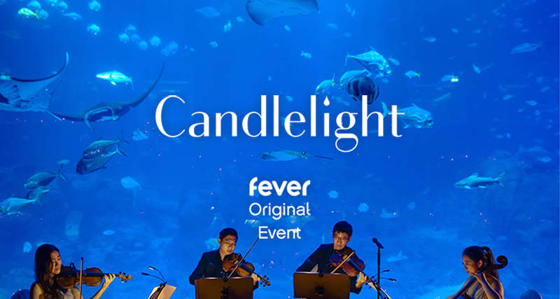 Candlelight Kids: Magical Movie Soundtracks at Daejeon Expo Aquarium | Fever