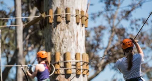 Treetops Adventure: Nowra Park Sydney Tickets | Fever