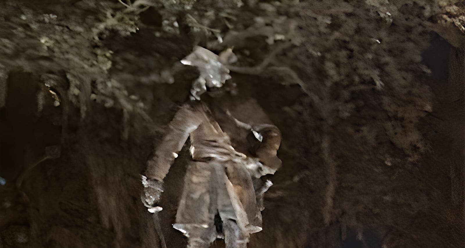 The History Buff Downtown Savannah Walking Tour (Savannah) Tickets | Fever