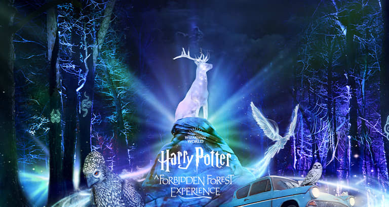 Harry Potter: A Forbidden Forest Experience - Melbourne - Tickets | Fever