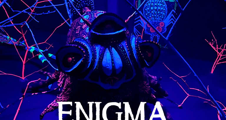 Enigma, the immersive experience - Lyon - Tickets | Fever
