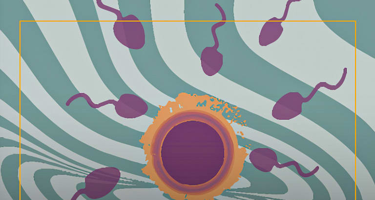 Zoides en Off Latina Teatro - Madrid | Fever