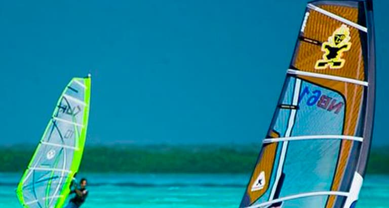 Windsurfing in Miami! Tickets | Fever