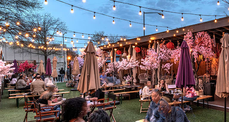 Cherry Blossom Wine and Beer Festival - Washington DC | Fever