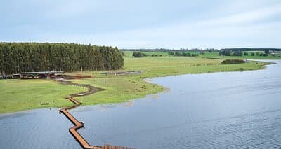 Tae Rak (Lake Condah) 2-Hour Cultural Walk (Victoria) Tickets | Fever