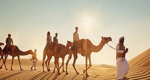 Desert Safari & Bab Al Shams Dinner at Al Hadheerah Dubai Tickets | Fever