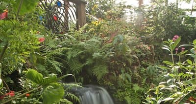 Butterfly Rainforest at Florida Museum of Natural History Ticket ...