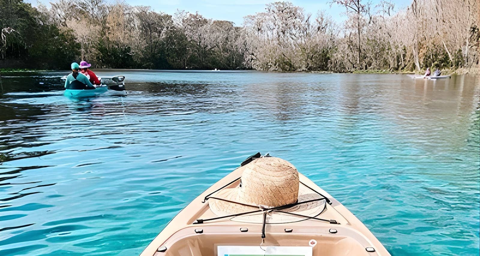 Silver Springs Glass Bottom Kayak Tour! (Orlando) Tickets | Fever