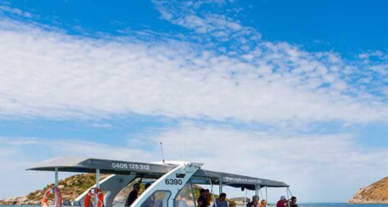 Southern Ocean Adventure from Victor Harbor (Adelaide) Tickets | Fever