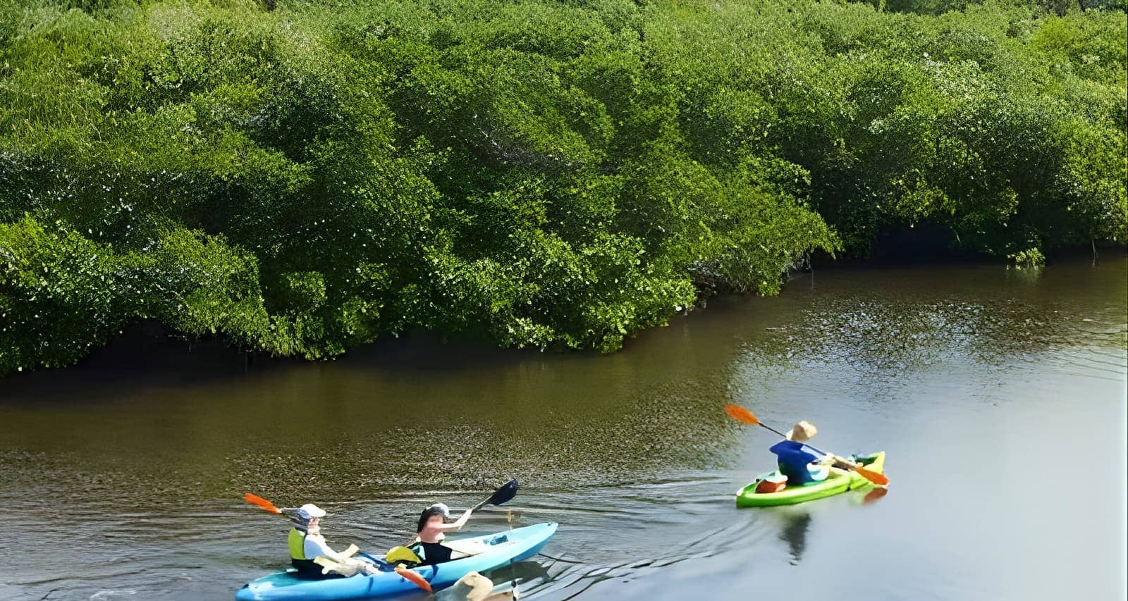 Kayaking the Canals of Venice, FL (Fort Myers) Tickets | Fever