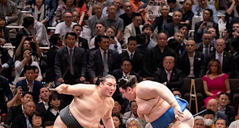 Sumo Tournament Experience in Tokyo - Tickets | Fever