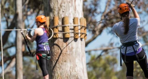 Treetops Adventure: Nowra Park Sydney Tickets | Fever