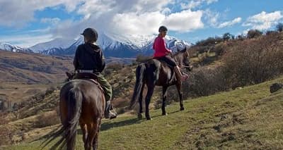 Small-Group Gold Discovery Horse Riding in Cardrona Valley (Queenstown ...
