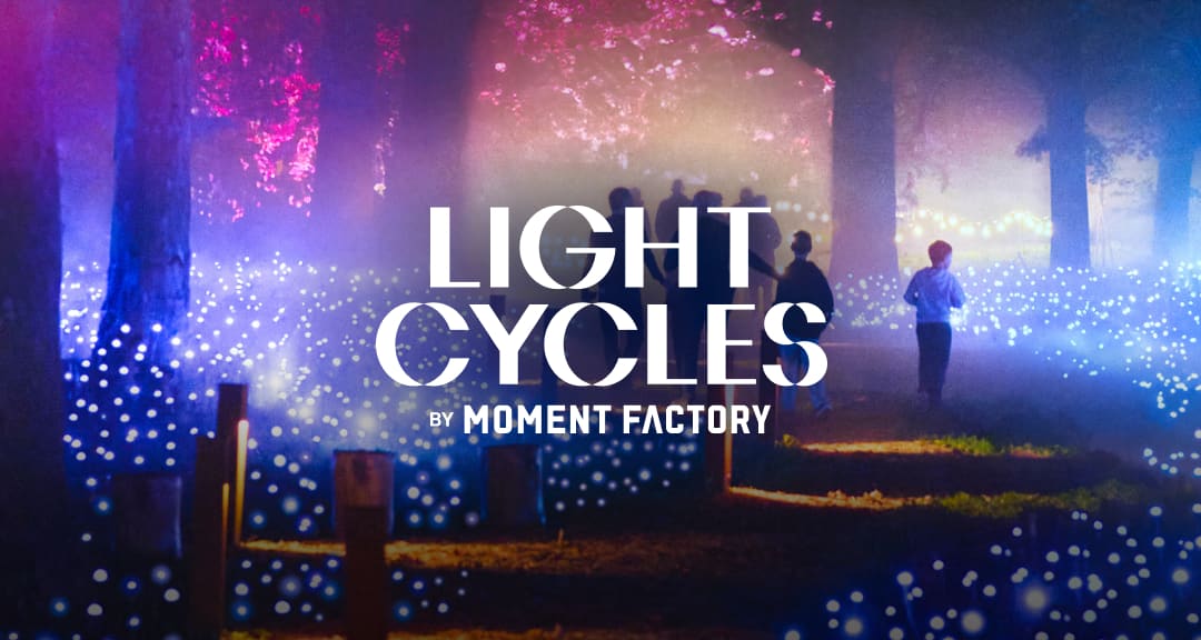 Light Cycles : Un parcours nocturne scintillant entre nature, lumière ...