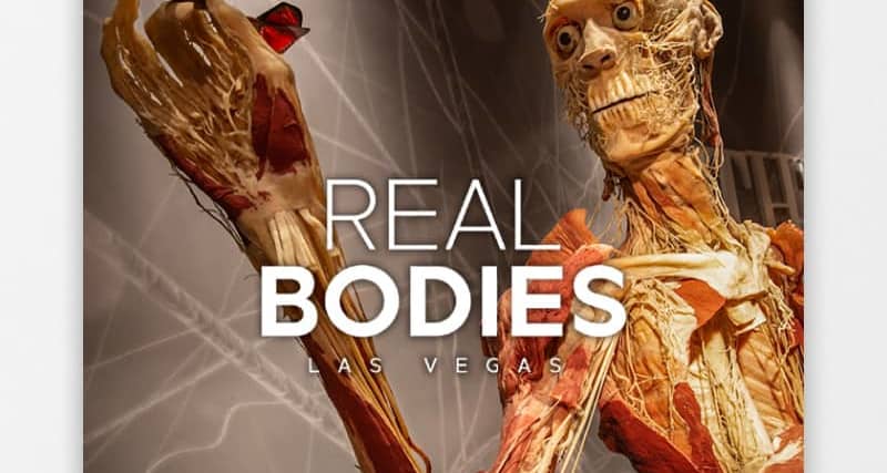 Real Bodies: A Journey Through the Human Experience - Gift Card | Fever