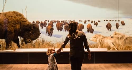 Canadian Museum of Nature Ottawa Tickets | Fever