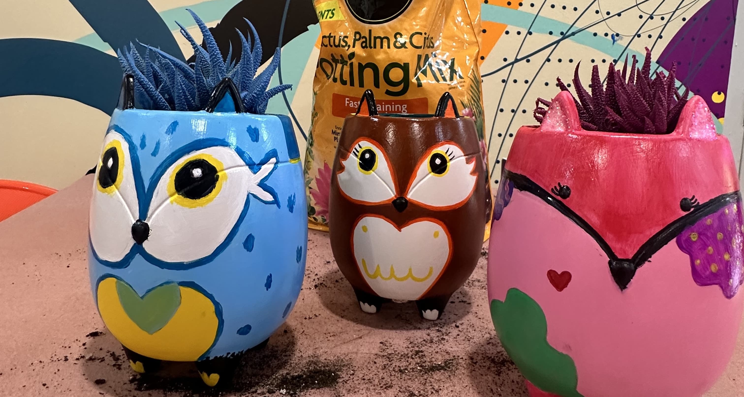 Halloween Plant and Sip Pot Planting - NY | Fever