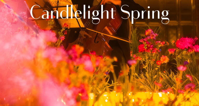 ﻿Candlelight Spring: Tribute to Adele - Lille - Tickets | Fever