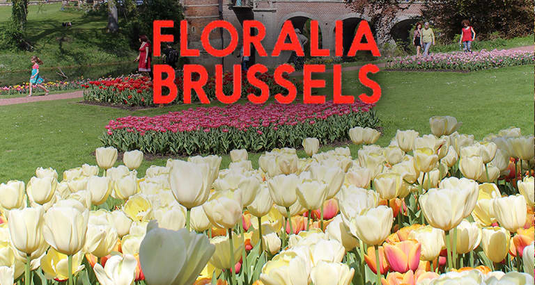 Floralia Brussels, the 21st edition of the Spring Flower Show ...