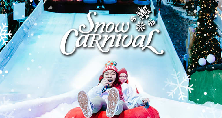 Snow Carnival - Miami | Fever