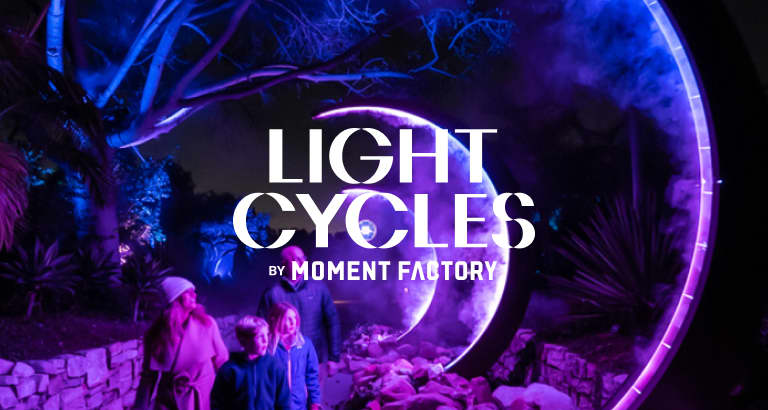 Light Cycles Birmingham: A glowing night walk | Fever