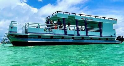 FAMOUS Destin Dolphin Cruise & Crab Island Sandbar (Destin) Tickets | Fever