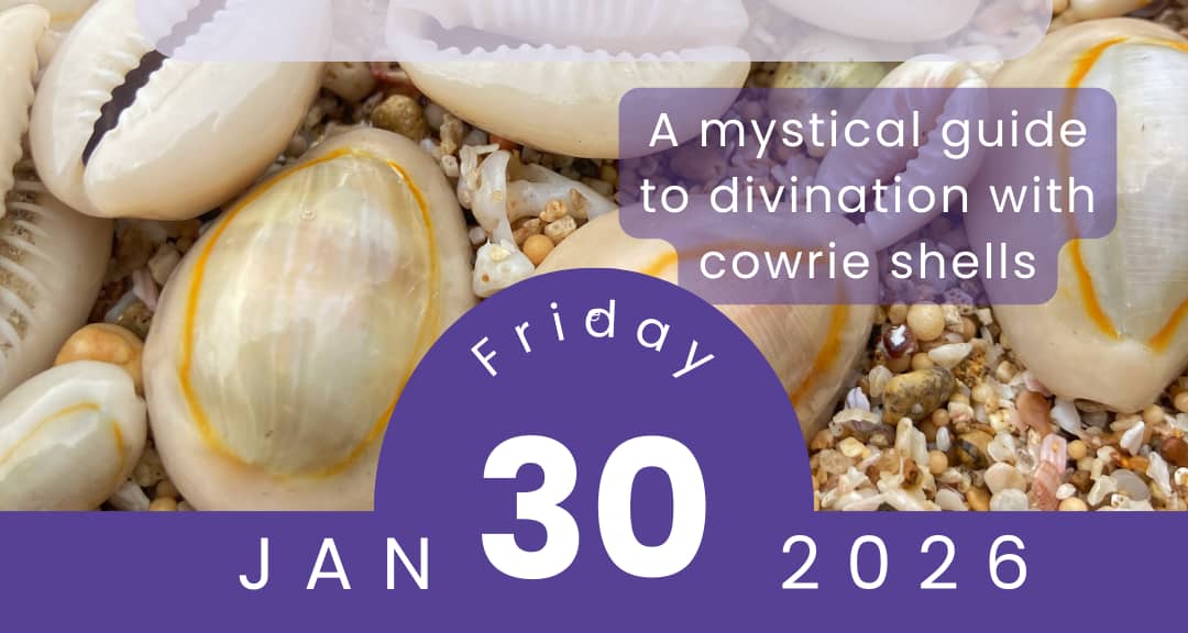 How to Read Cowrie Shells Workshop - Tickets - New York | Fever