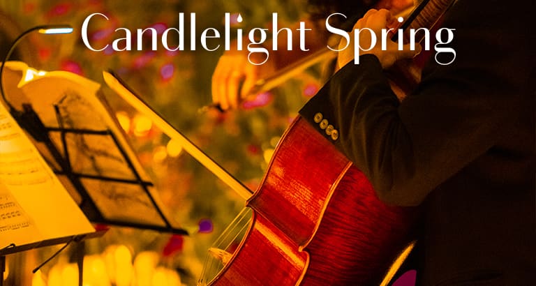 Candlelight Spring: A Tribute to Coldplay - Washington DC | Fever