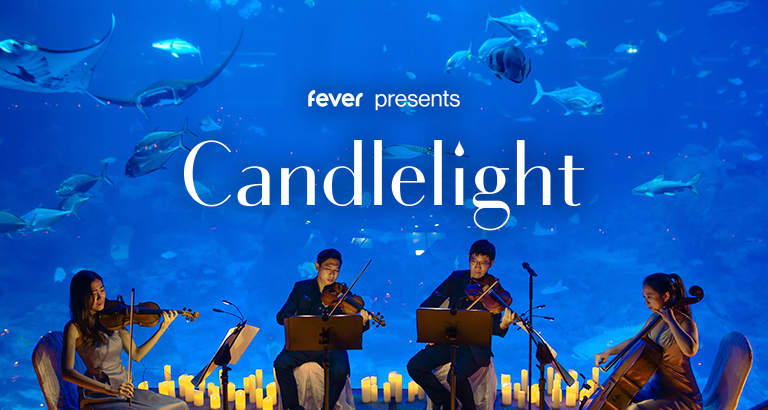 Candlelight Plymouth: A Tribute to Queen at the Aquarium | Fever