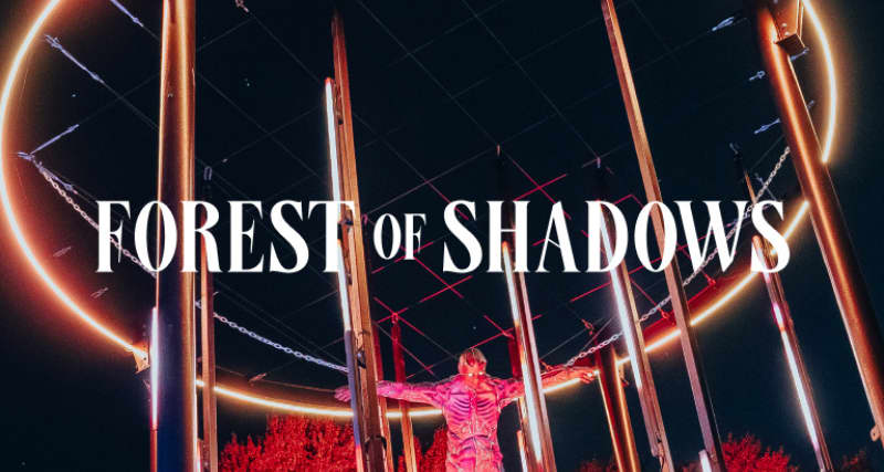 Forest of Shadows: An Immersive Dark Tale - Seattle - Tickets | Fever