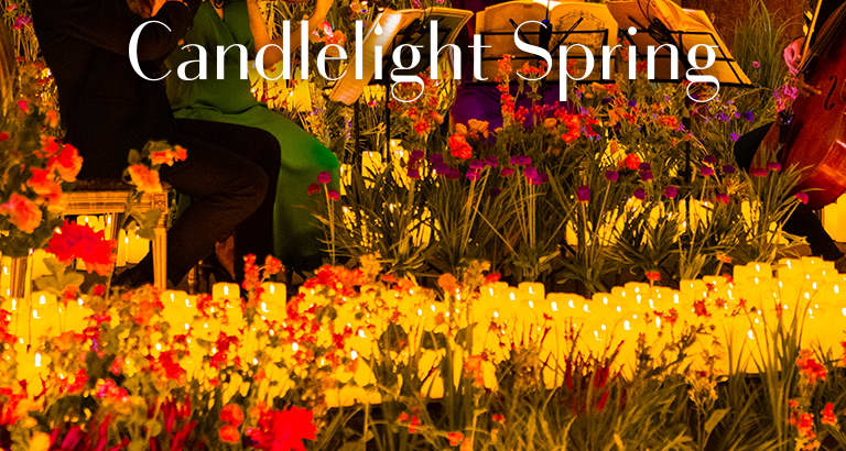 Candlelight Spring: A Tribute to Adele - Tampa | Fever