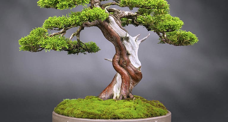 Color Cocktail Factory (Chicago) Tickets | Fever