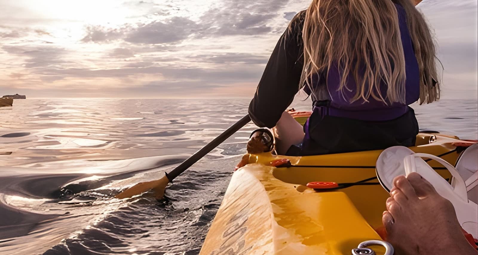 Kayak to the penguins in Simons Town - Cape Town | Fever