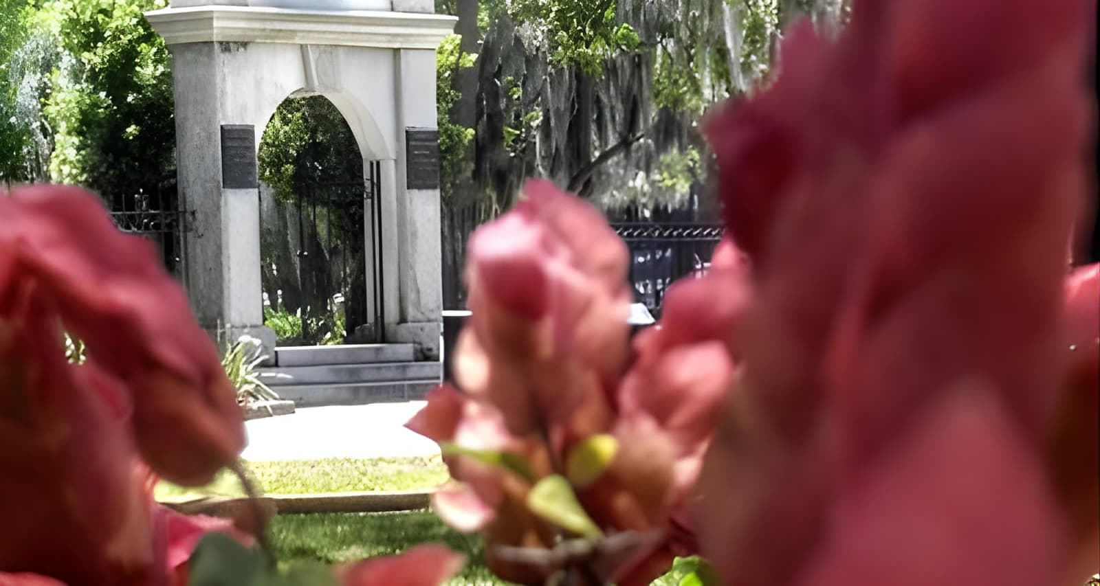 Botanical Tour (by Walk With Me Savannah Tours) (Savannah) Tickets | Fever