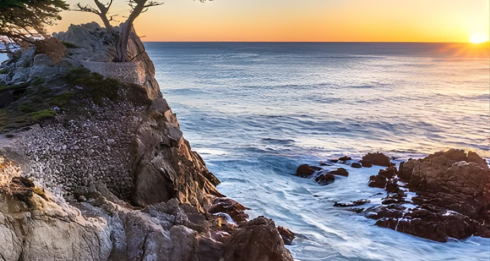 Monterey, Carmel y 17-Mile Drive: Excursión de día completo desde SF ...