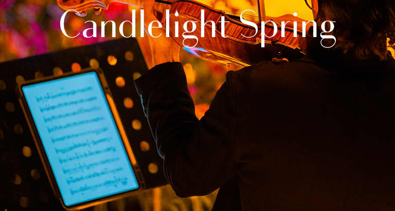 Candlelight Spring: A Tribute to Taylor Swift - Dublin | Fever