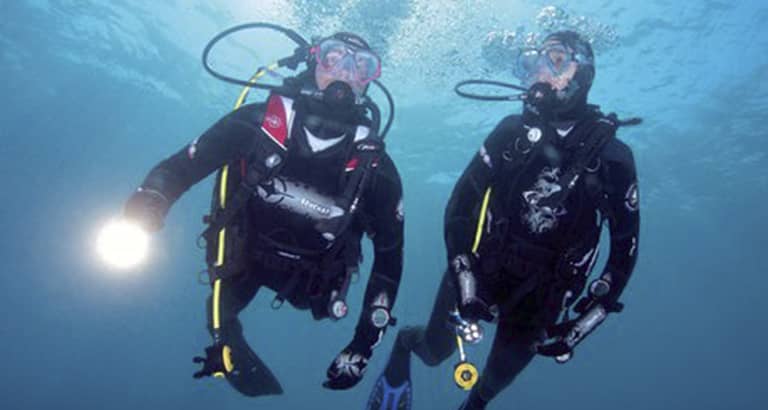Full-Day Scuba Diving Charter to Goat Island Marine Reserve from ...