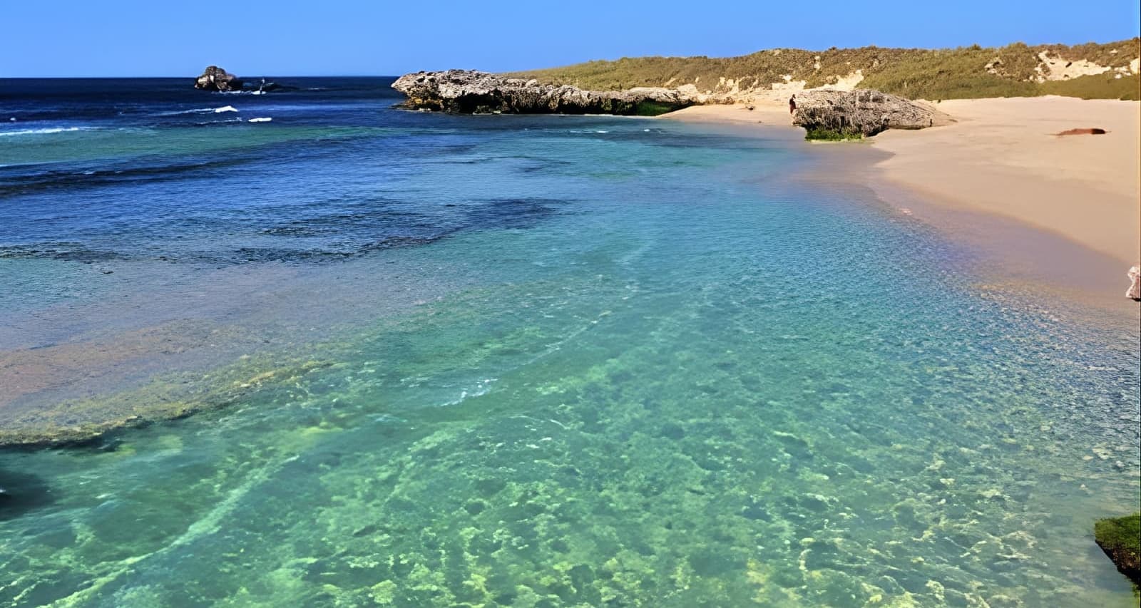 Rottnest Island Bayseeker Day Trip from Perth (Perth) Tickets | Fever