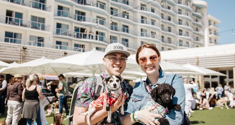 Pup Fest at Pasea Hotel & Spa - Tickets | Fever
