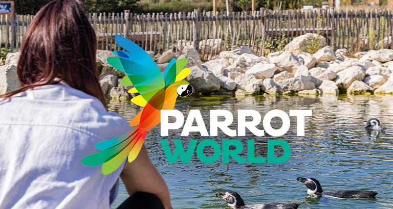Parrot World: Tickets for Immersive Experiences - Gift Card - Paris | Fever