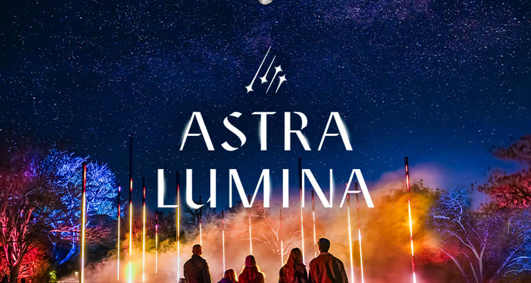 Astra Lumina Los Angeles: An Enchanted Night Walk - Tickets | Fever