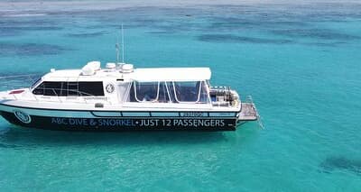 ABC Snorkel Charters Port Douglas Snorkelling max 12 passengers (Port ...