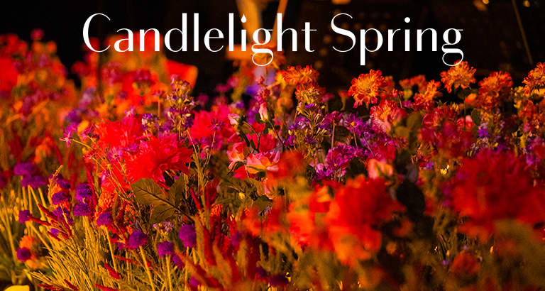 Candlelight Spring: A Tribute to Adele - Limerick | Fever