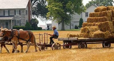 Amish Experience SuperSaver Package (Lancaster) Tickets | Fever