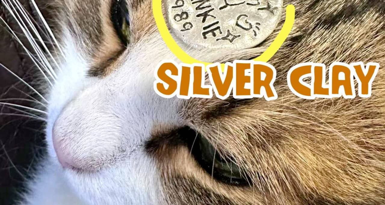 999 Silver Clay Jewellery Making Class - Sydney | Fever