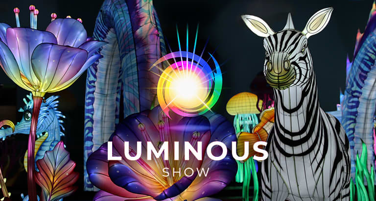 Luminous Show - Blumenau - Ingressos | Fever