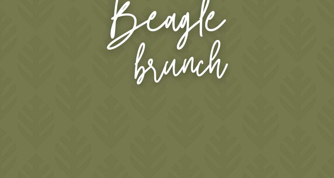 Beagle Brunch | Sky Hall Garden - São Paulo | Fever