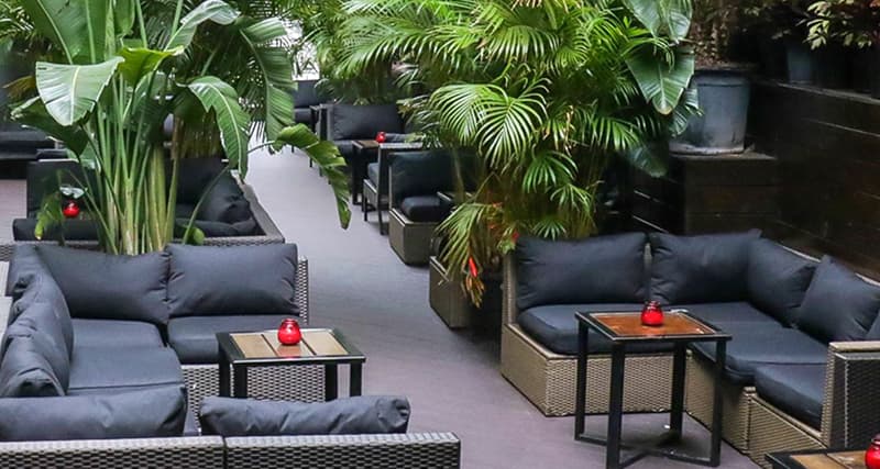 Delancey Summer Rooftop Day Party (NYC) Tickets | Fever