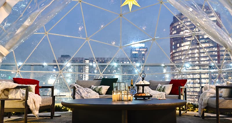 Private Igloo Experience Downtown Houston - Tickets | Fever