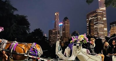 MOONLIGHT RIDE Central Park with Photo (45 min) ~ Skip the line (New ...